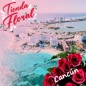 Las 10 mejores FLORERIAS EN CANCUN del año 2024