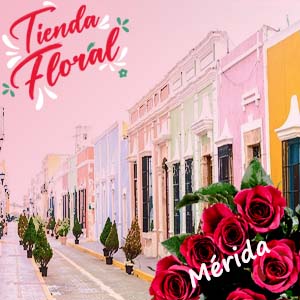 Las 10 mejores FLORERIAS EN MERIDA del año 2024