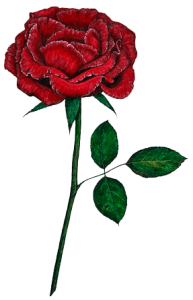 SIGINIFICADO de las ROSAS ROJAS: Amor y espiritualidad